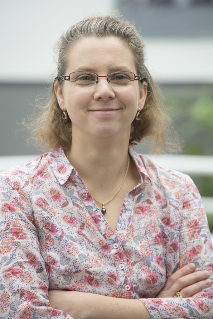 Promote routines to enhance team performance - IÉSEG