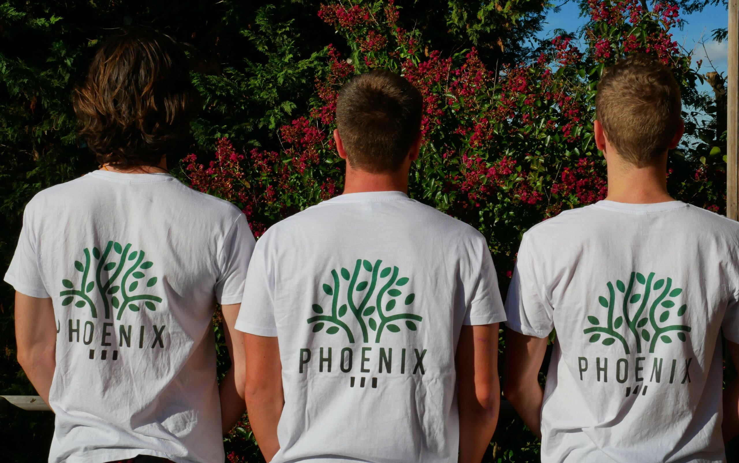 Phoenix Forest to protect the South American Forest