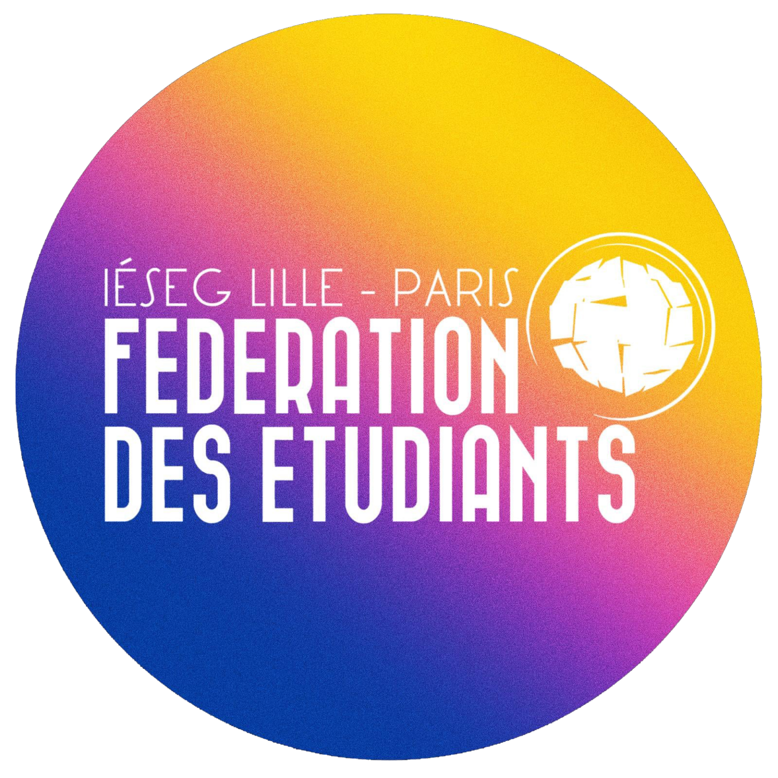 Organization - IÉSEG